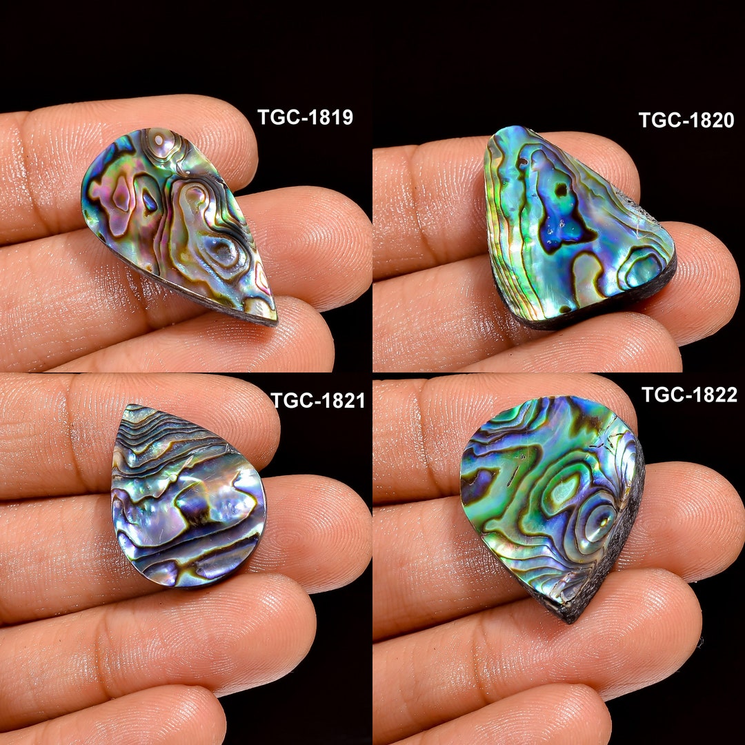 Abalone Shell Stone, Natural Abalone Shell Gemstone Abalone Shell ...