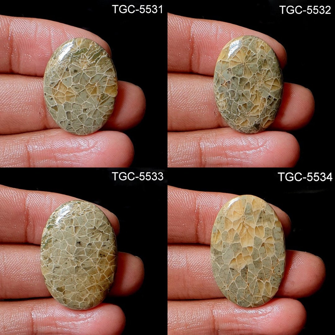 Stingray Fossil Cabochon - Natural Stingray Fossil Gemstone - High ...
