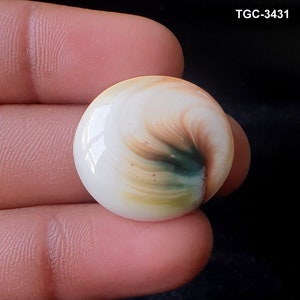 Shiva Eye Shell Natural Shiva Eye Gemstone High Quality Shiva Eye Stone ...
