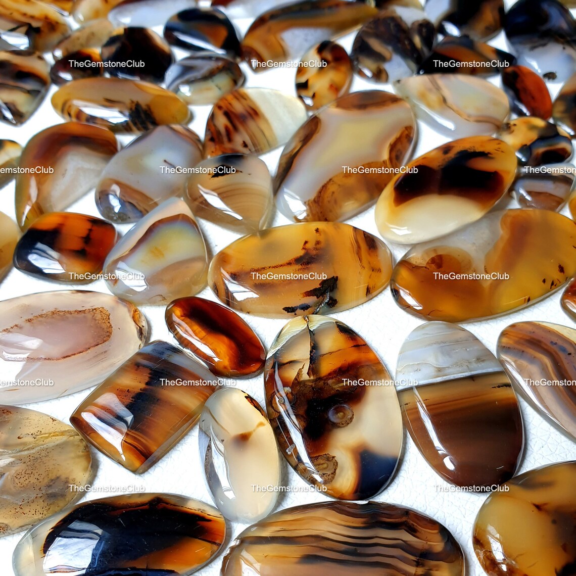 Bulk Montana Agate Lot Yellow Montana Agate Cabochon Lot | Etsy