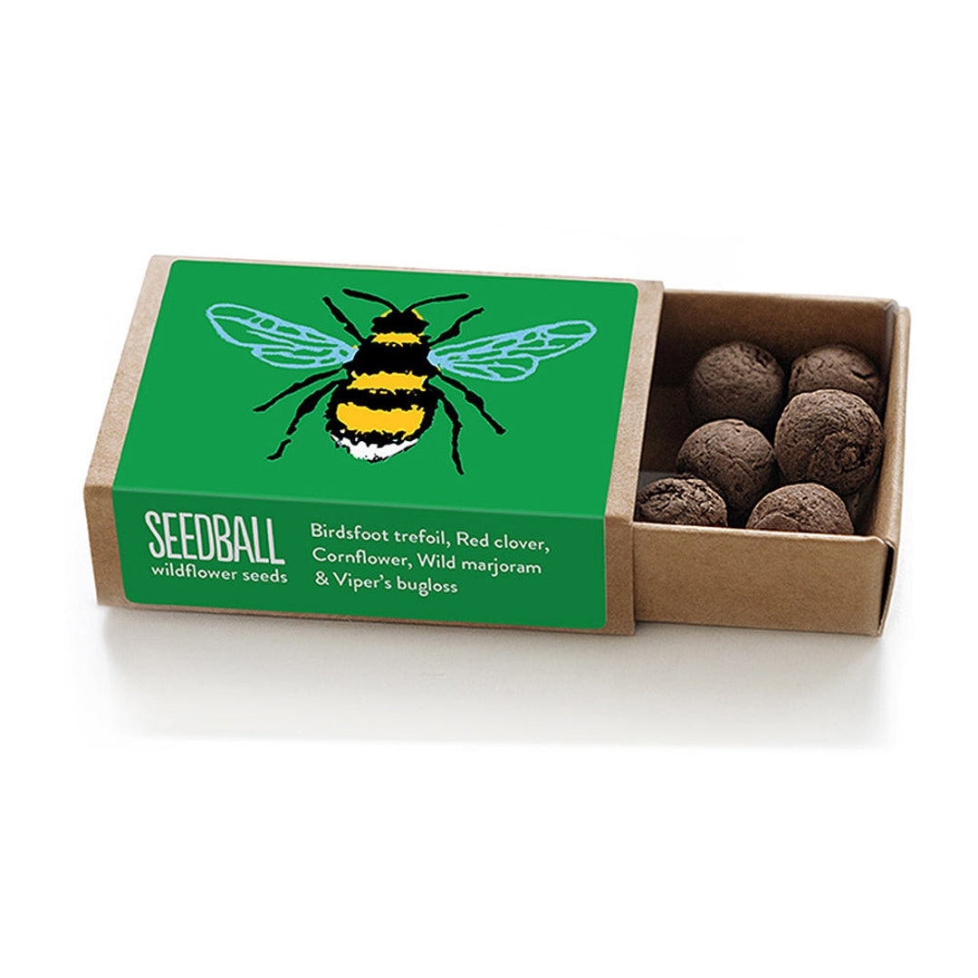 Bee Friendly Plants Seedball Matchbox Cracker Filler Mini Gift - Etsy