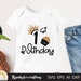 First Birthday Svg, Birthday Girl Svg, One Svg, Svg Files for Cricut ...