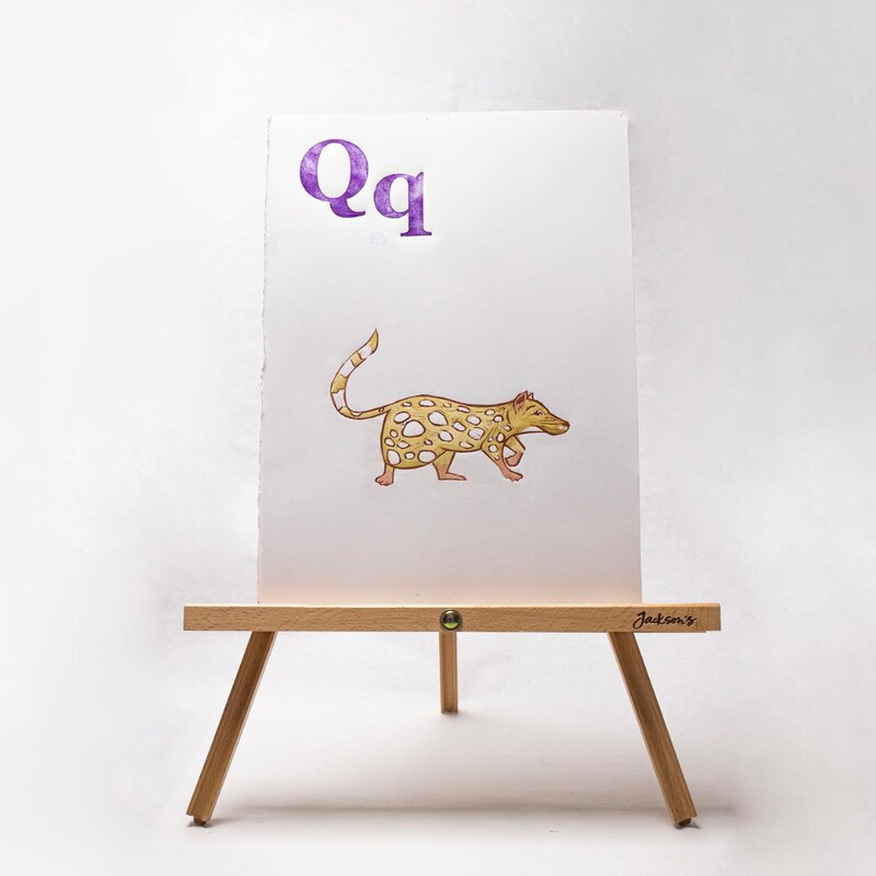 Quoll - Etsy
