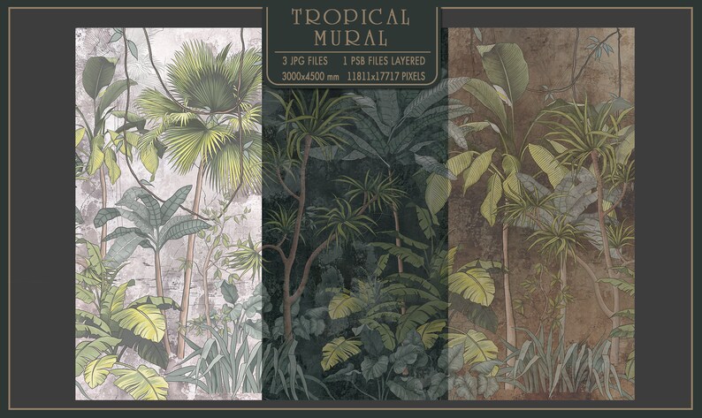 Set of Drawn Graphic Illustration of a Tropical Mural. Tropical ...