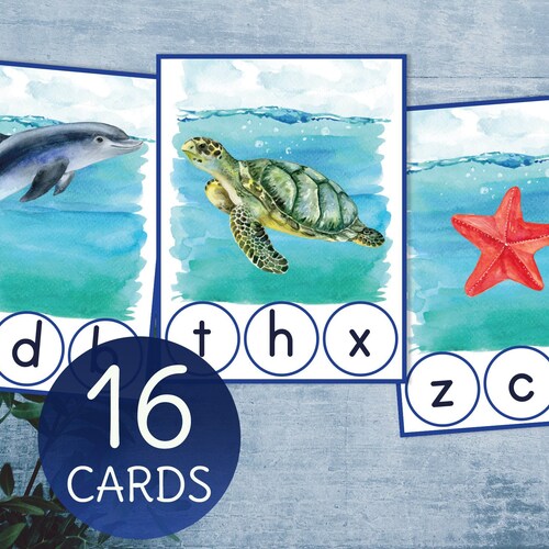 Phonics Printable CVC Word Clip Cards. Beginning Sound - Etsy