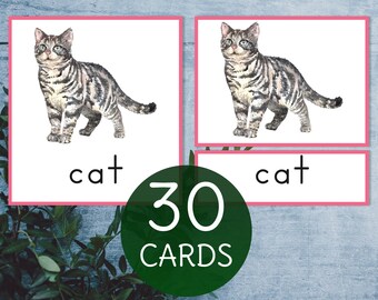 Montessori Cvc Cards - Etsy