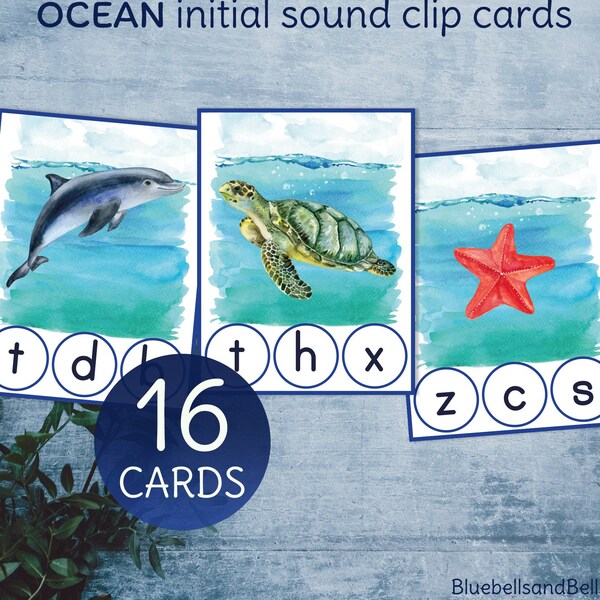 Beginning Sounds - Etsy