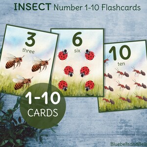 Insect Preschool Printable Number 1-10 Flashcards. Toddler Watercolor ...