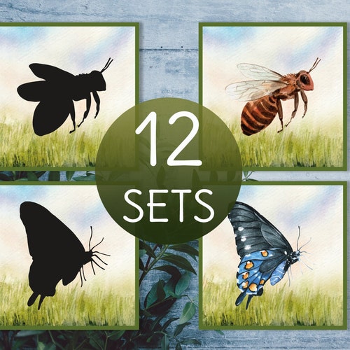 Insect Shadow Matching Cards. Montessori Pre-reading Printable | Etsy