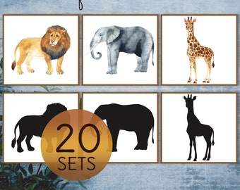 Fruit Shadow Matching Cards. Montessori Preschool Printable. | Etsy