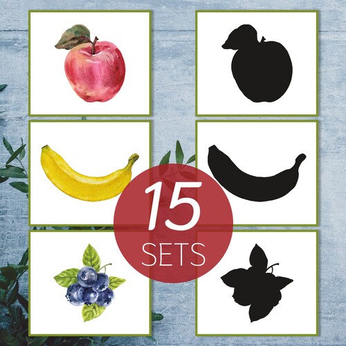 Fruit Shadow Matching Cards. Montessori Preschool Printable. | Etsy