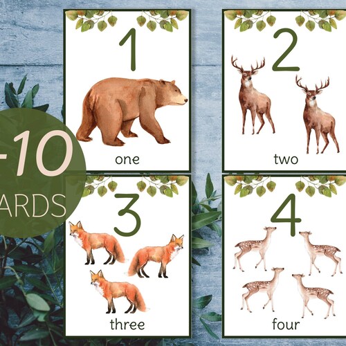 Number Flashcards Counting Cards Printable Number Flash - Etsy