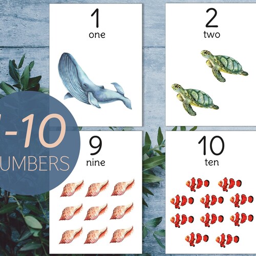 Woodland Animals Number Flashcards 1-10. Nature Counting Cards - Etsy