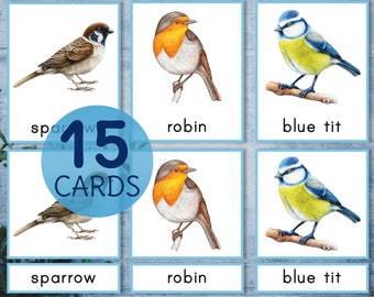 Ocean Montessori Printable 3 Part Cards. Preschool Vocabulary | Etsy