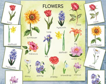 Flower Printable Activity Preschool Activity Kindergarten - Etsy
