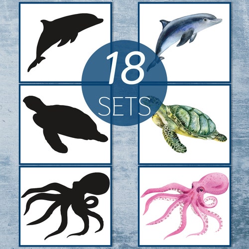 Color Sorting Preschool Printable Activity. Toddler Watercolor - Etsy