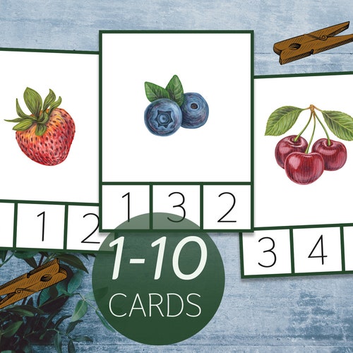 Insect Count and Clip Cards 1-10. Montessori Summer Math - Etsy