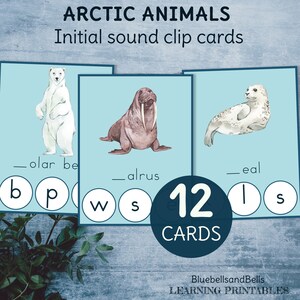 Arctic Animals Preschool Printable Beginning Sound Clip Cards. - Etsy