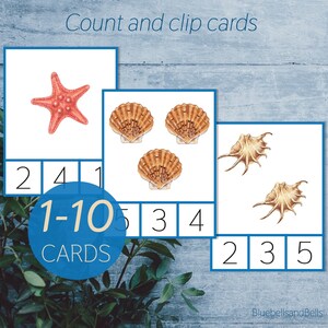 Seashell Count and Clip Cards 1-10. Montessori Ocean Printable ...