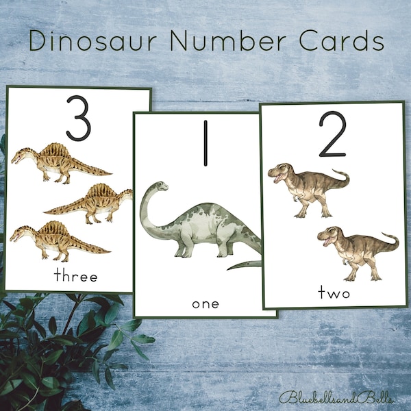 Number Flash Cards - Etsy