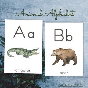 Animal Alphabet Cards. Watercolor Letter Flash Cards. Classroom ABC ...