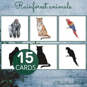 Rainforest Animals Shadow Matching Cards. Montessori Animal - Etsy