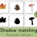 Autumn shadow matching Montessori printable. Fall nature | Etsy
