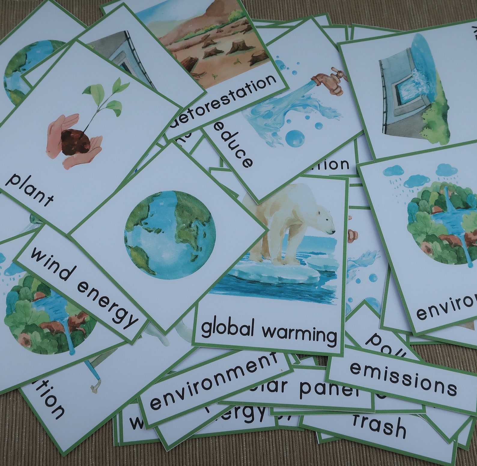 Earth Day Montessori 3 Part Cards. Ecology Vocabulary Cards. - Etsy