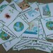 Earth Day Montessori 3 Part Cards. Ecology Vocabulary Cards. - Etsy