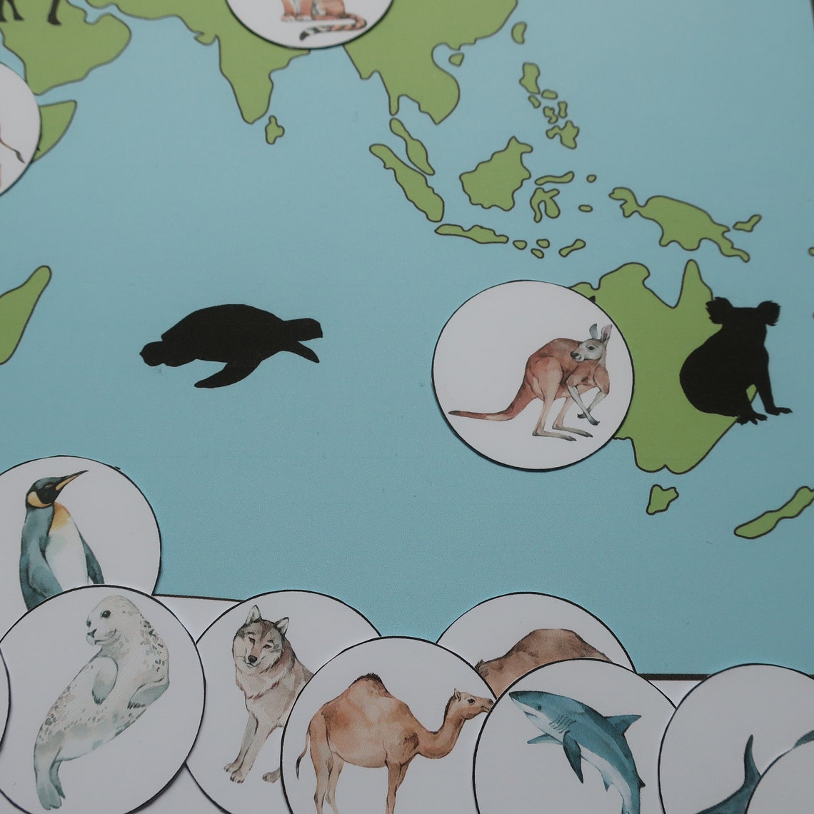 Animals of the Continents Shadow Matching Activity. Montessori - Etsy