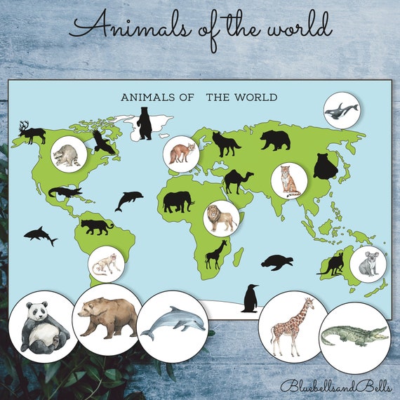 Animals of the Continents Shadow Matching Activity. Montessori - Etsy