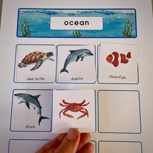 Animal Habitats Sorting Activity and Chart. Montessori Preschool and ...
