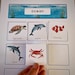 Animal Habitats Sorting Activity and Chart. Montessori Preschool and ...