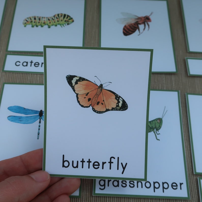 Insect Montessori Printable 3-part Cards. Preschool and - Etsy