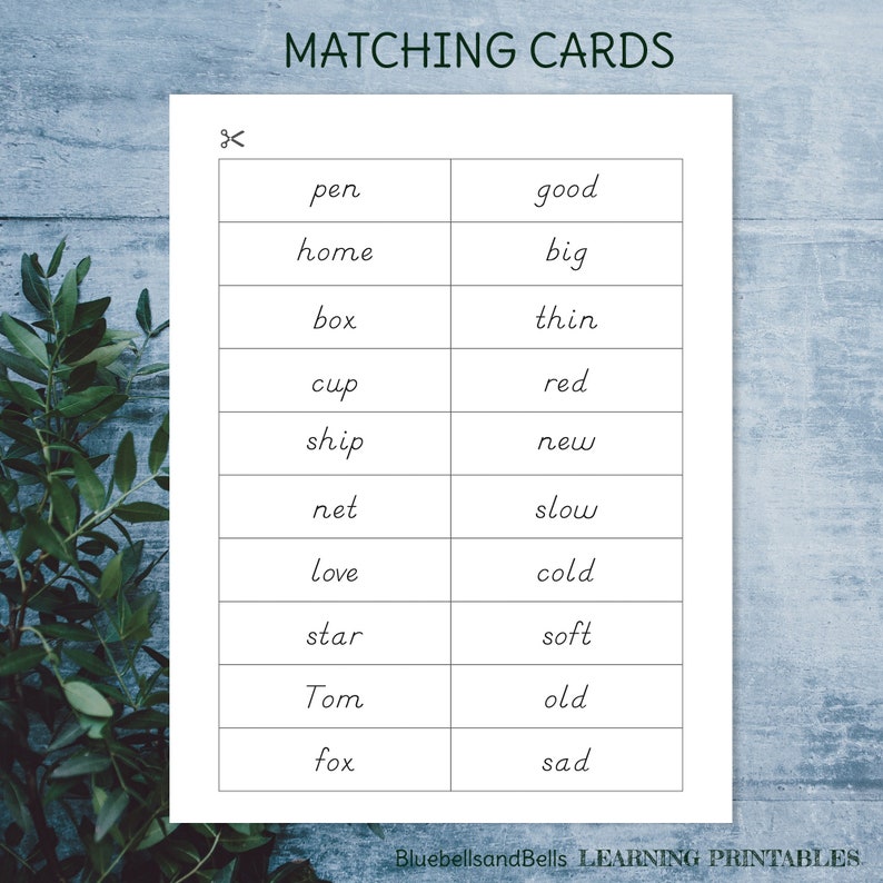 Montessori Parts of Speech Noun and Adjective Sorting Activity. Grammar ...