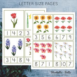 Flower Preschool Printable Count and Clip Cards 1-10. Montessori Spring ...