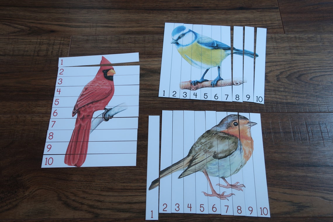 Bird Preschool Printable Number Sequence Puzzles 1-10. - Etsy Ireland
