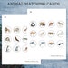 Animals of the Continents Shadow Matching Activity. Montessori ...