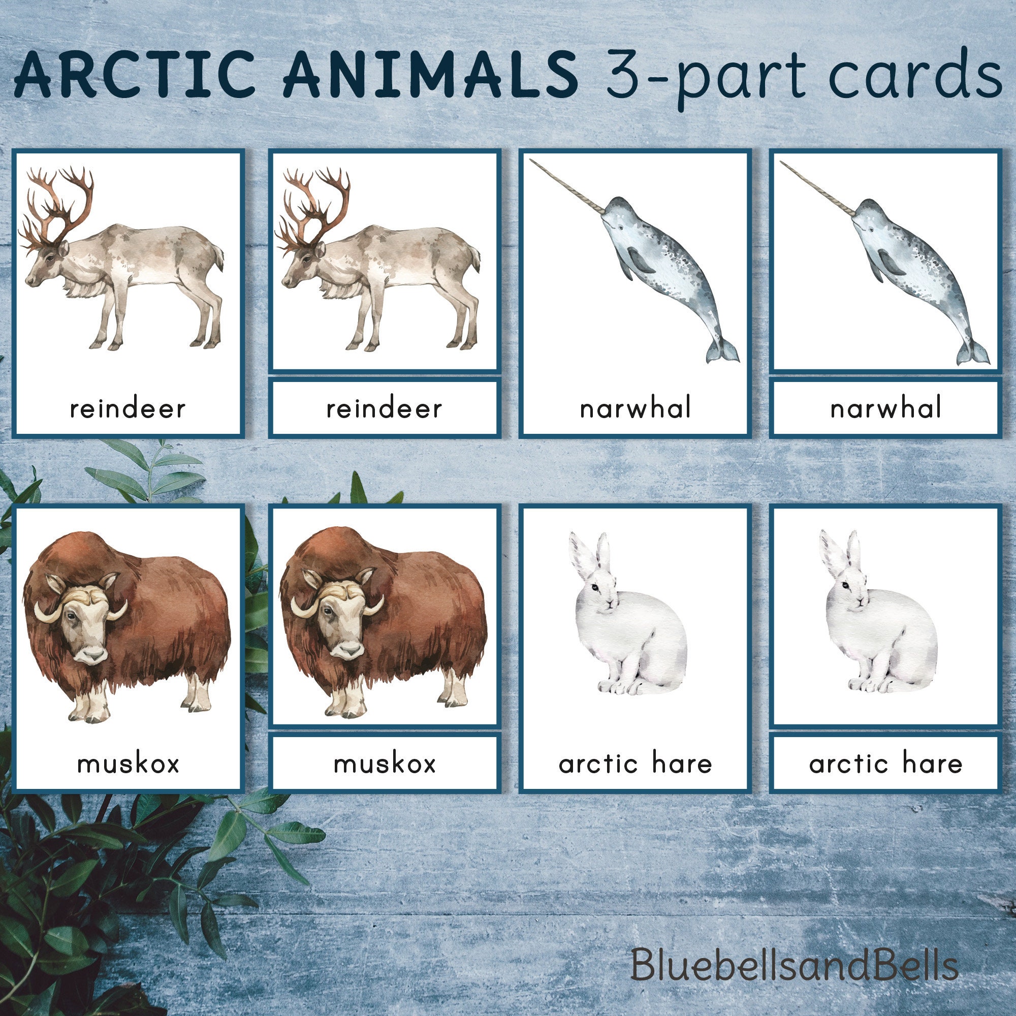 Arctic Animals 3 Part Cards. Montessori Winter Printable Vocabulary ...