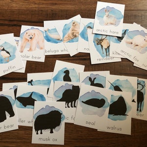 Arctic Animals Montessori Printable. North Pole Animals Toddler ...