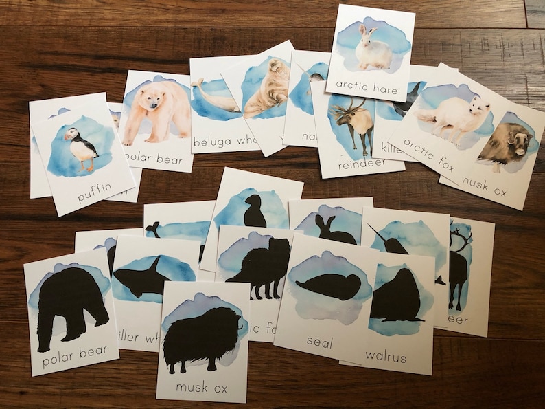 Arctic Animals Montessori Printable. North Pole Animals | Etsy