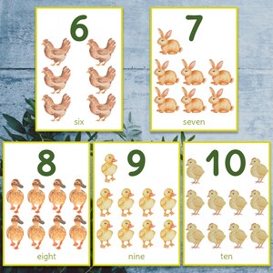 Farm Animal Number 1-10 Flash Cards. Toddler Watercolor - Etsy