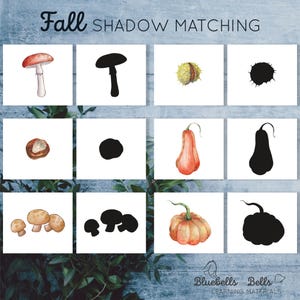 Autumn Shadow Matching Montessori Printable. Fall Nature Activity ...