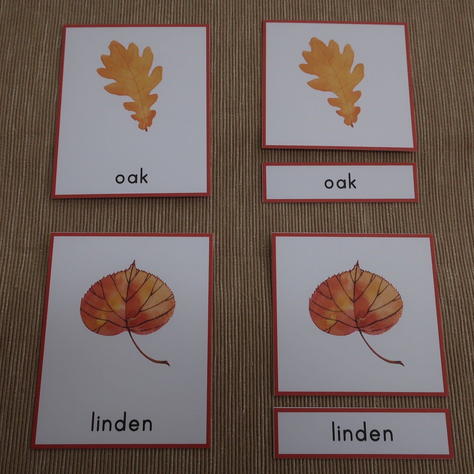 Montessori Fall Printable Leaf Identification Three Part - Etsy