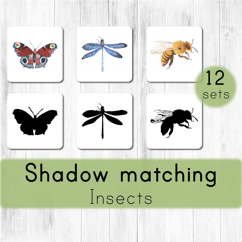 Insects Shadow Matching cards. Insects Montessori printable. | Etsy