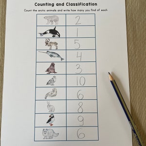 Montessori Arctic Animals Graphing Activity. Preschool Math Printable ...