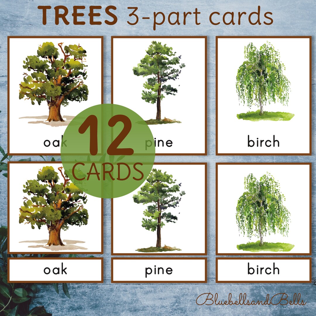 Trees Montessori 3 Part Cards. Tree Identification Cards. Vocabulary ...