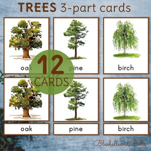 Trees Montessori 3 Part Cards. Tree Identification Cards. Vocabulary ...