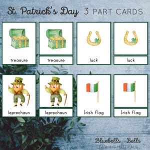 St. Patrick's Day Montessori Printable 3-part Cards. Preschool and ...