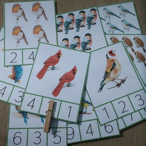 Birds Count and Clip Cards 1-10. Spring Montessori Printable. Preschool ...